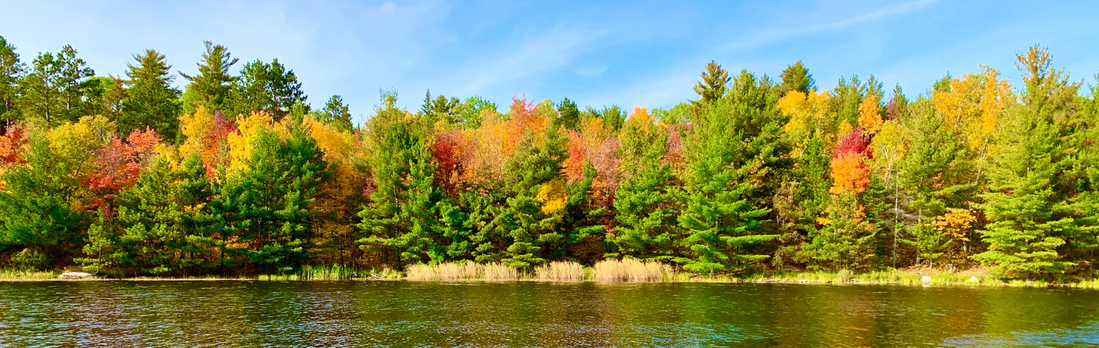 Fall Fishing Tips – 5 Ways to find the Fall Bite — Eco Fishing Shop